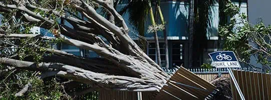 Hurricane Proof Fencing l Mossy Oak Orlando